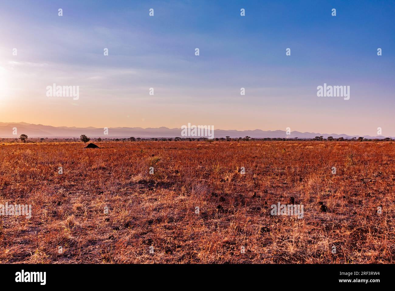 Meru National Park is a Kenyan national park located east of Meru, 350 ...