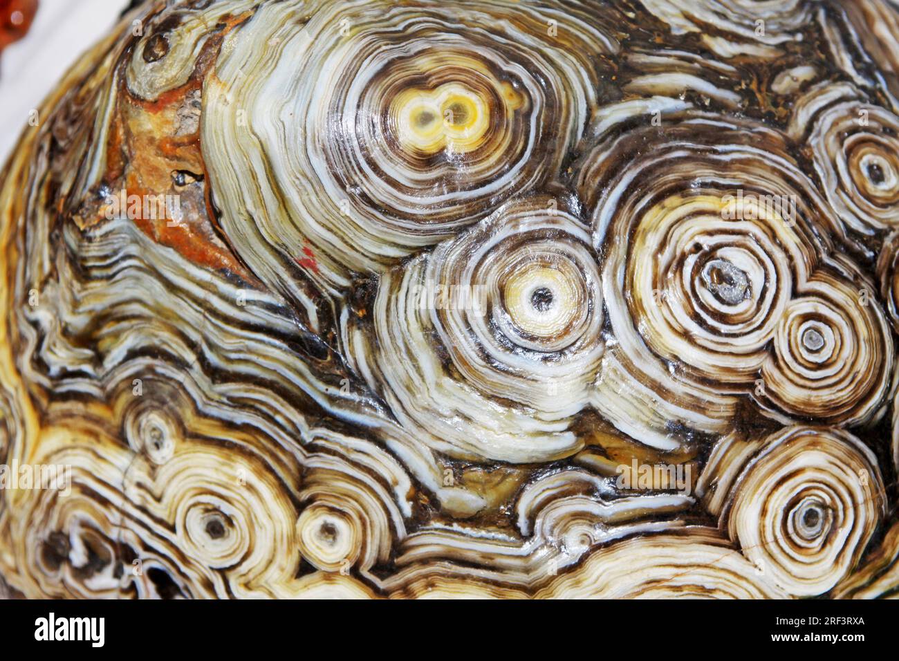 the decorative pattern on the rocks, looks very beautiful Stock Photo ...