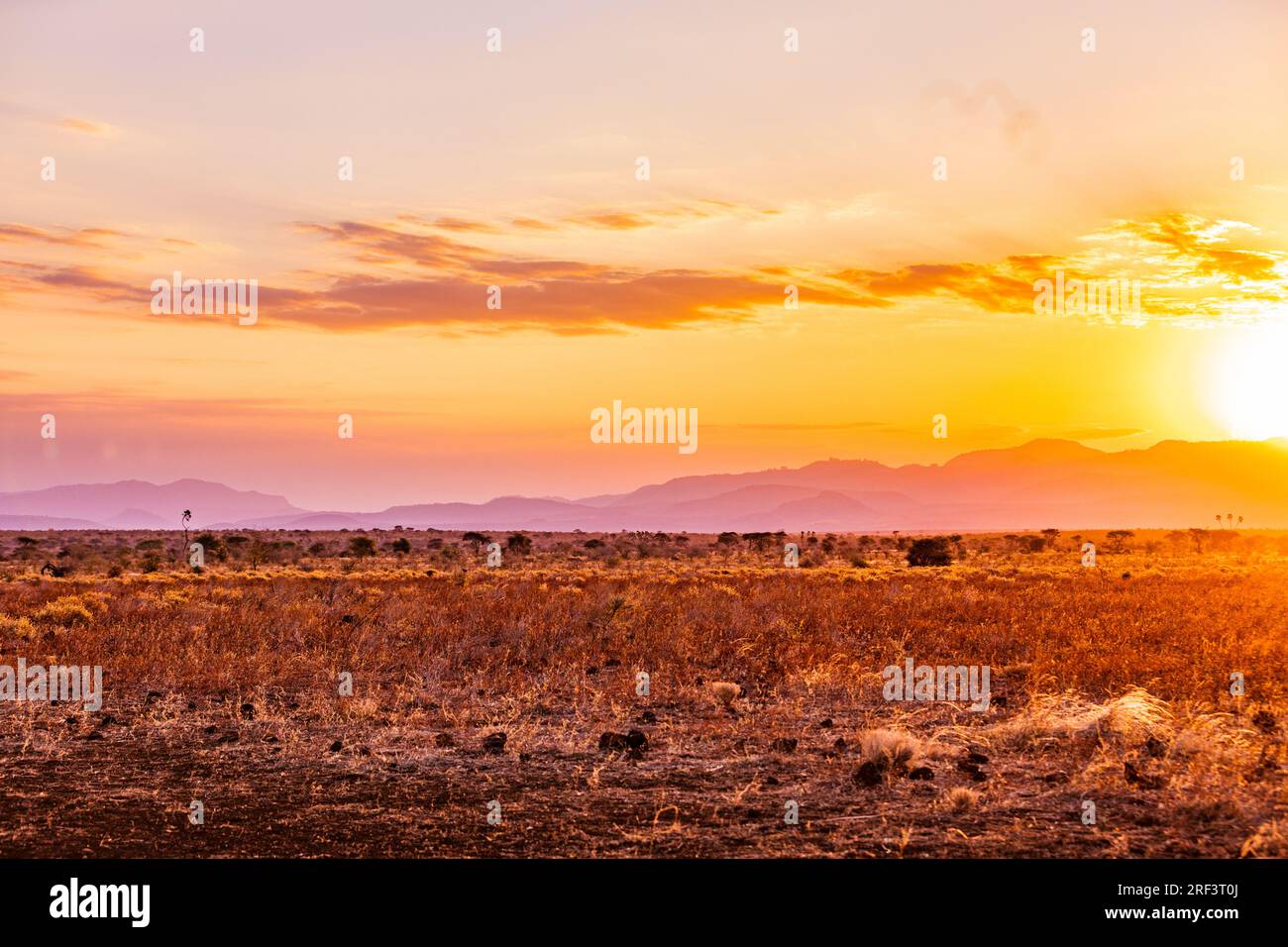 Meru National Park is a Kenyan national park located east of Meru, 350 ...