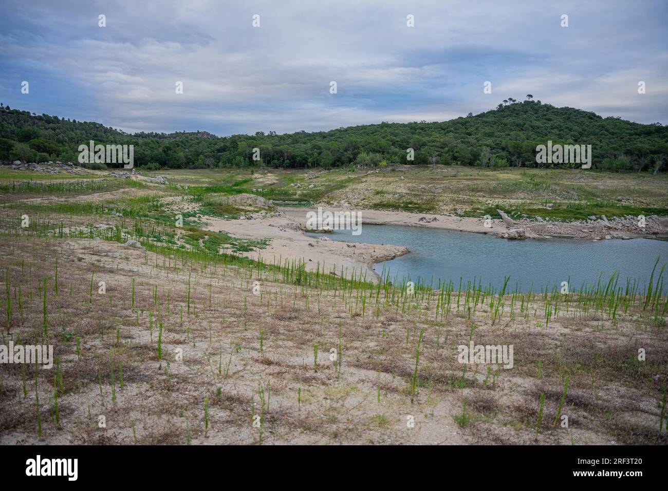 Darnius, Girona, Spain. 30th July, 2023. The drought affects the ...