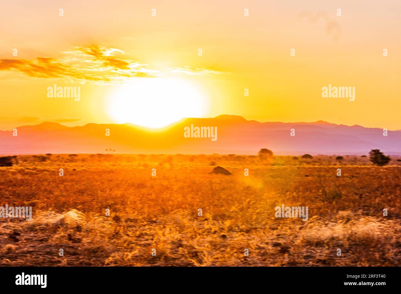 Meru National Park is a Kenyan national park located east of Meru, 350 ...