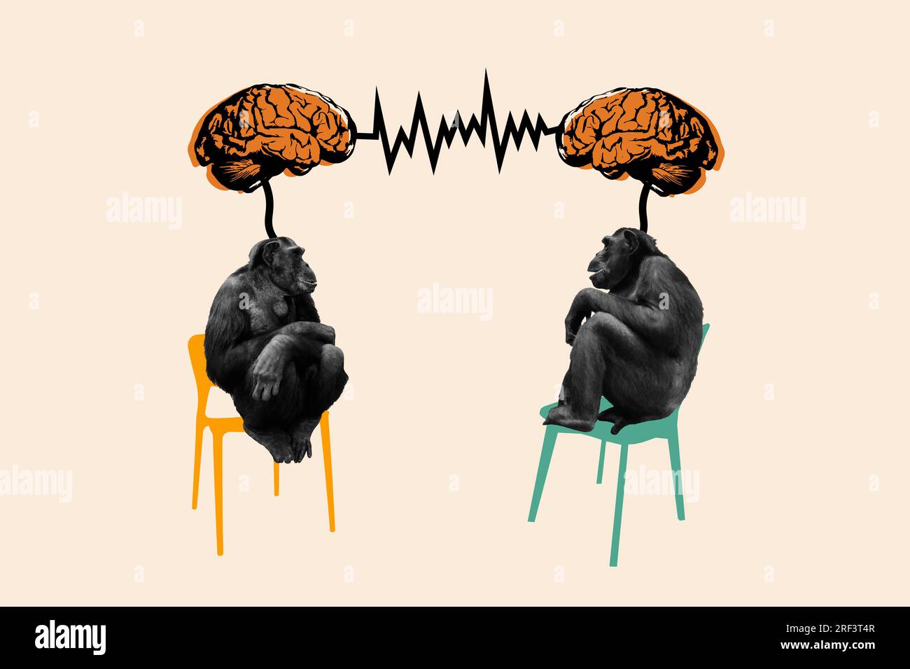 Collage portrait of two black white effect monkeys sit chair ...