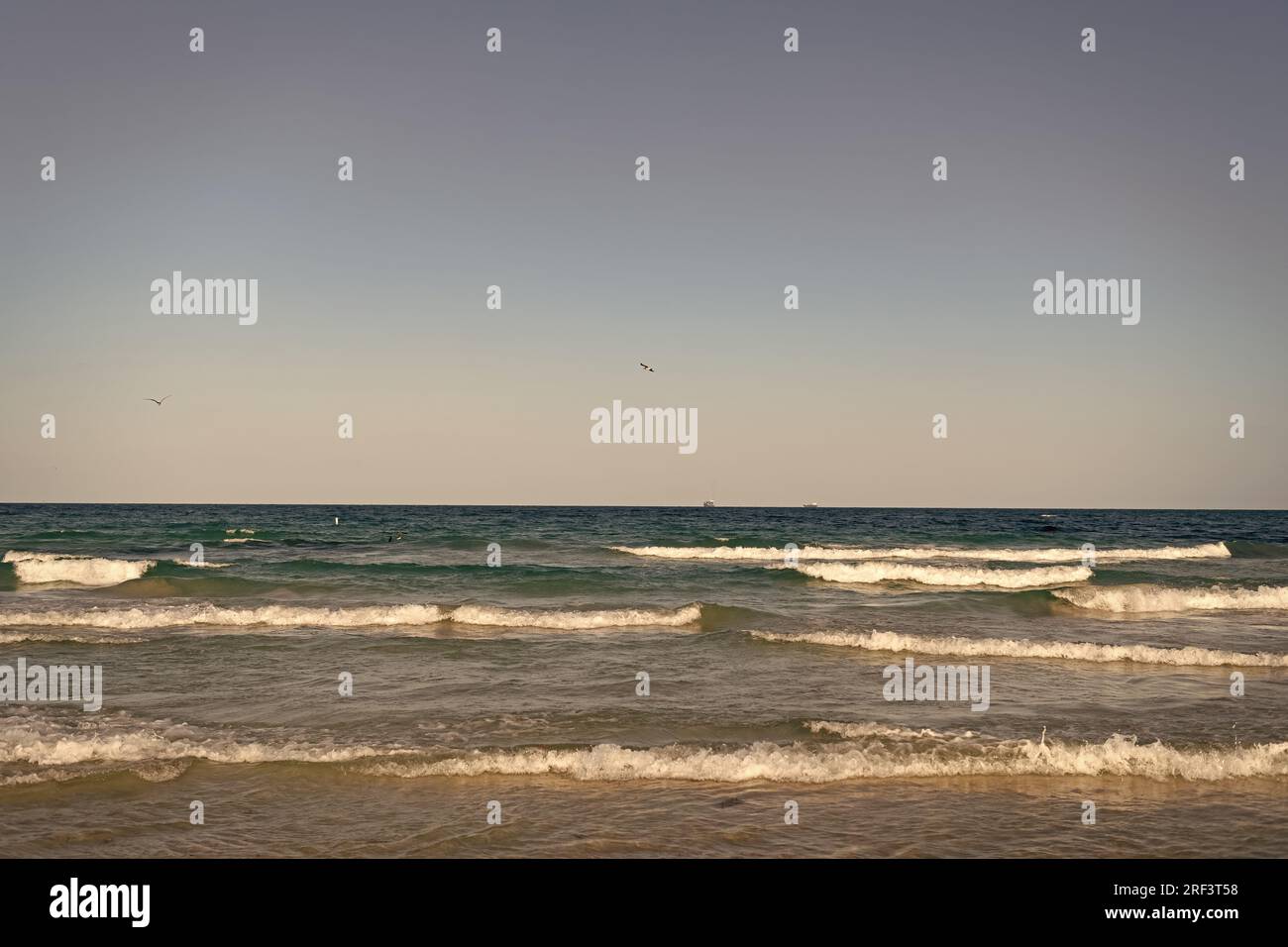 image of seascape nature. seascape nature at daylight. seascape nature ...