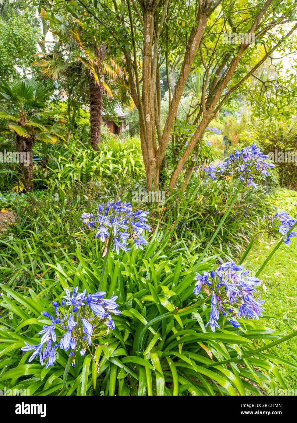 The Memorial Garden, Penlee House Gallery & Museum, Penzance, Cornwall ...