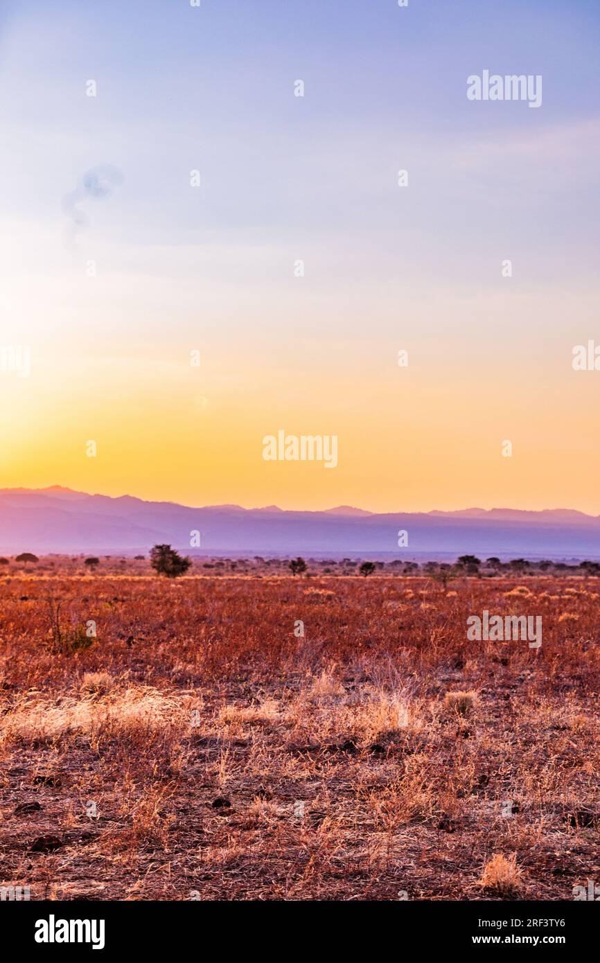 Sunset Sun downer magical Kenyan East African in Meru National Park has ...