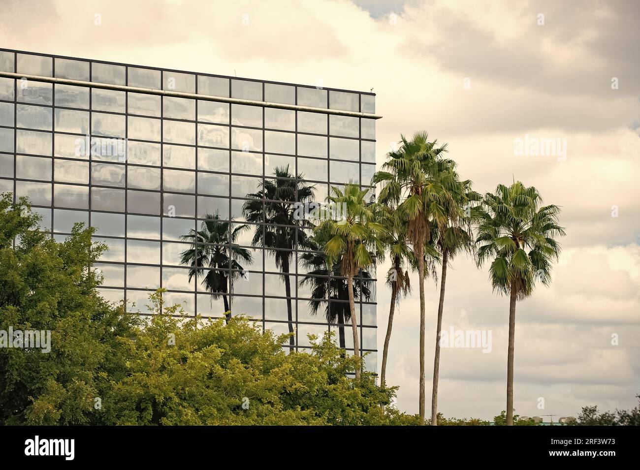 glassy building architecture. facade building architecture. exterior ...