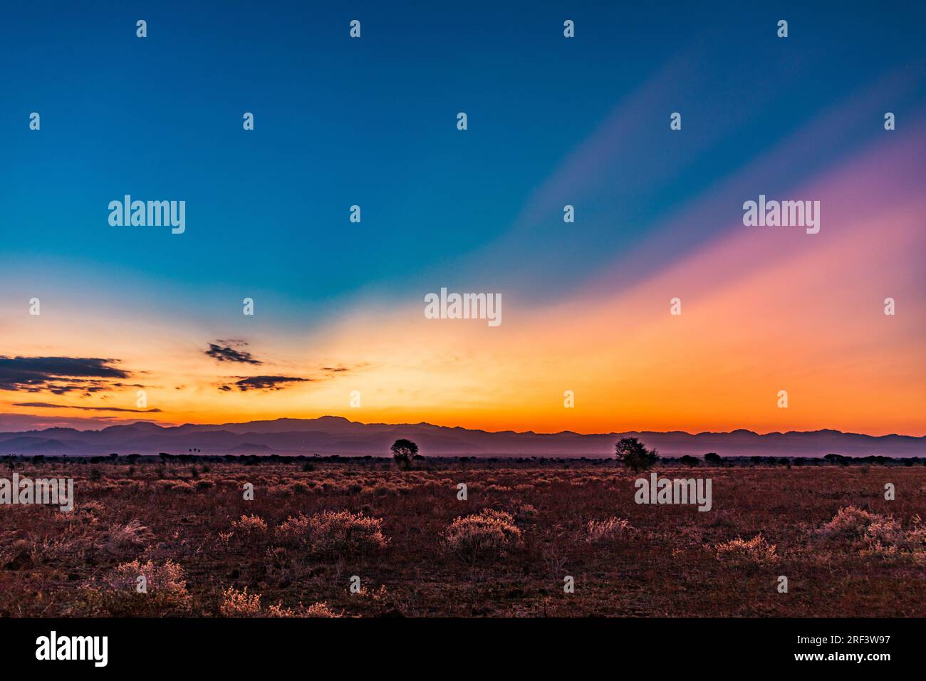 Sunset Sun downer magical Kenyan East African in Meru National Park has ...
