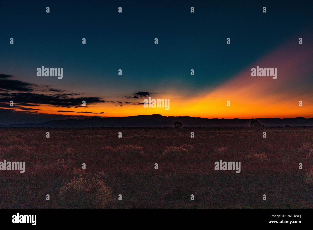 Sunset Sun downer magical Kenyan East African in Meru National Park has ...