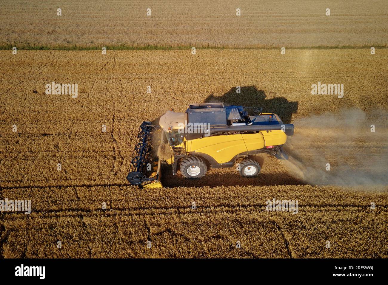 Harvesting machine working at agricultural field. Combine harvester ...