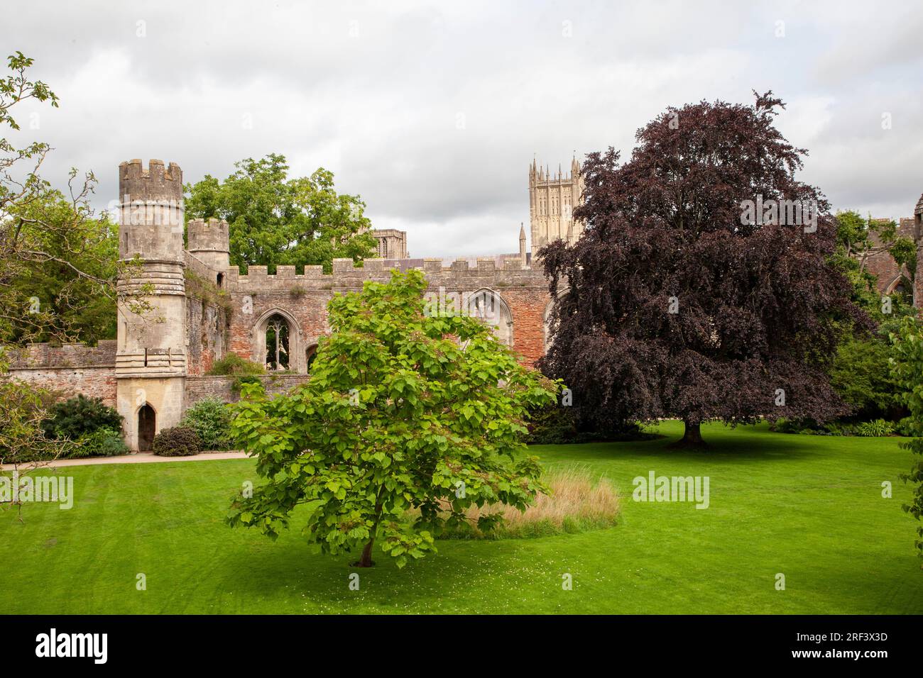 Bishop's Palace Gardens in Wells Somerset Stock Photo - Alamy