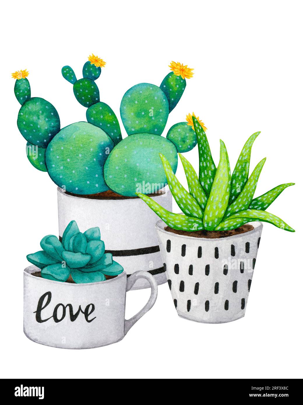Watercolor composition of cacti and succulents in ceramic pots ...