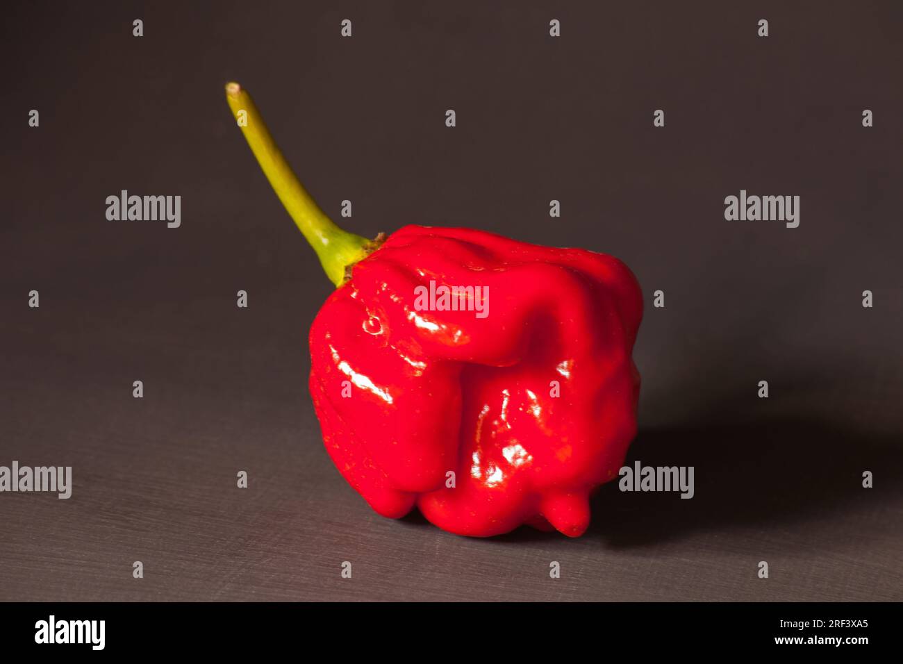 Carolina reaper chili (Capsicum chinense) 10481 Stock Photo - Alamy