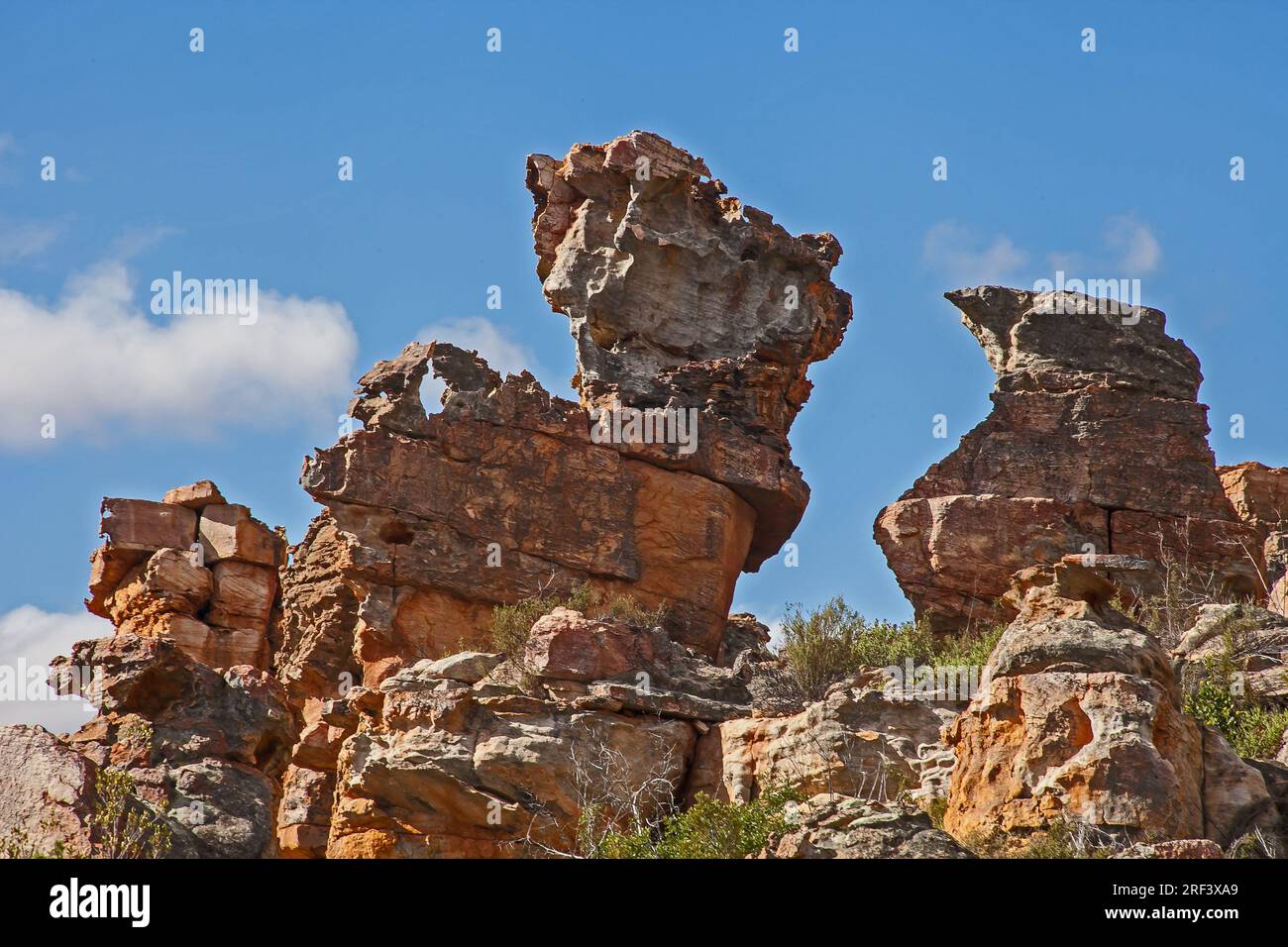 12967 hi-res stock photography and images - Alamy