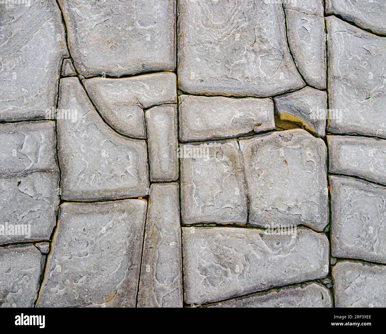 Pavement of Jurassic Lias limestone caused by natural jointing in wave ...