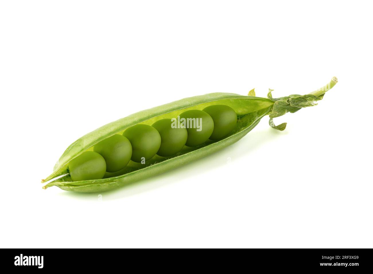 Close up of ripe green peas inside the pod. White background, copy ...