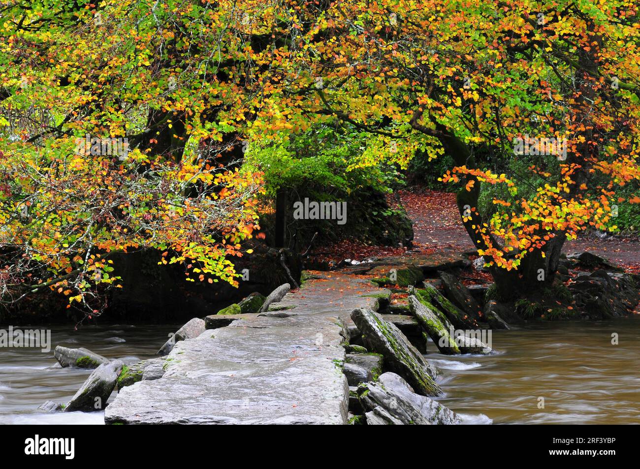 Tarr steps in the Barle valley on Exmoor National Park Stock Photo - Alamy