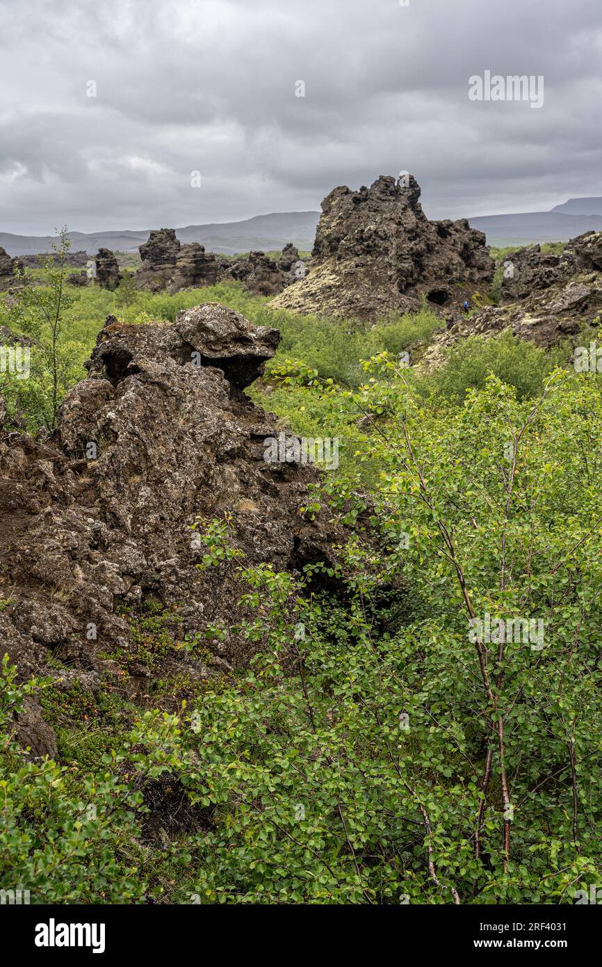 Lava rock formations, Skútustaðagígar pseudocraters in the Mývatn lake ...