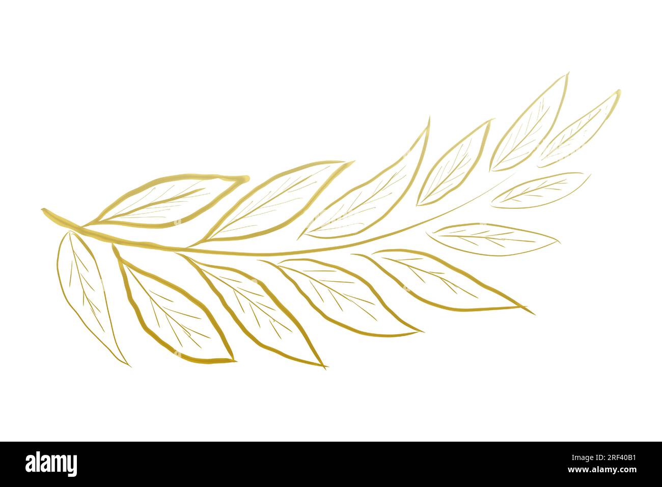 leaf line art golden hand drawn line art on white background isolate ...