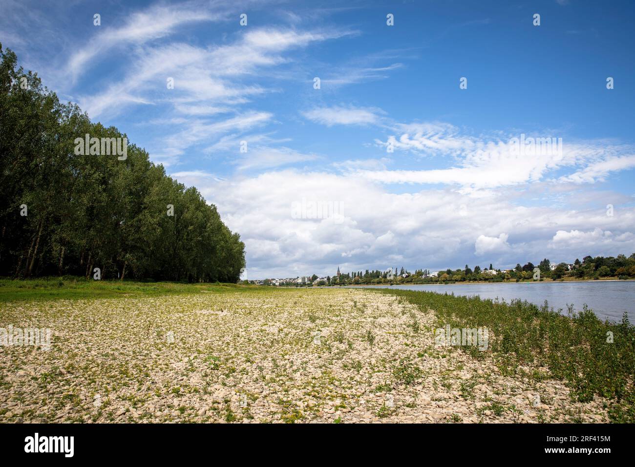 river Rhine meadows and floodplain forest in Rodenkirchen-Weiss ...