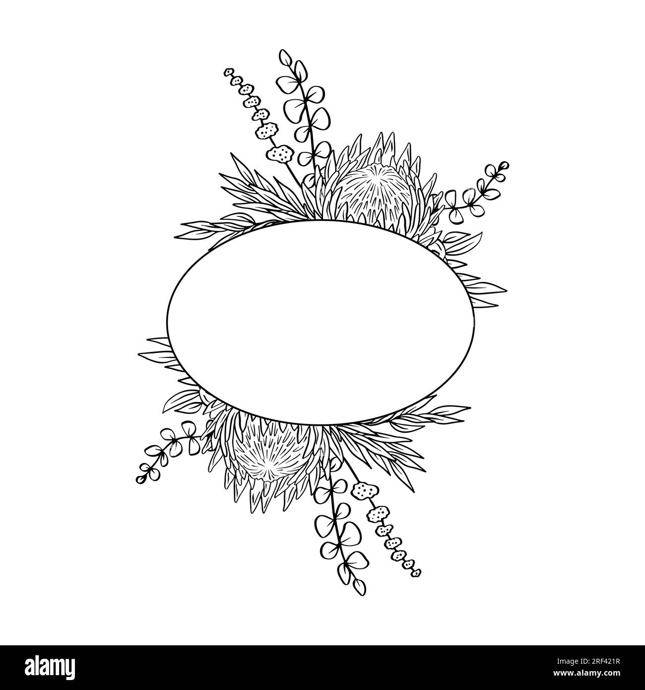 Protea frame Black and White Stock Photos & Images - Alamy