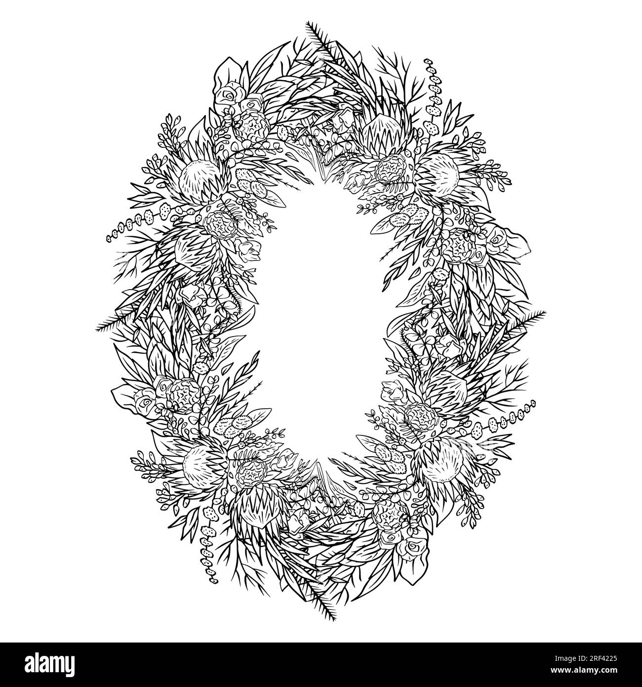 Hand drawn monochrome line art tropical protea flower vertical oval ...