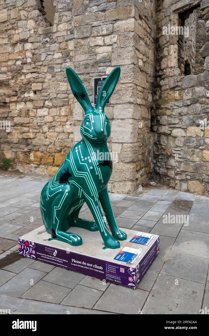 Hares of Hampshire Art trail Southampton England 2022, the Murray ...