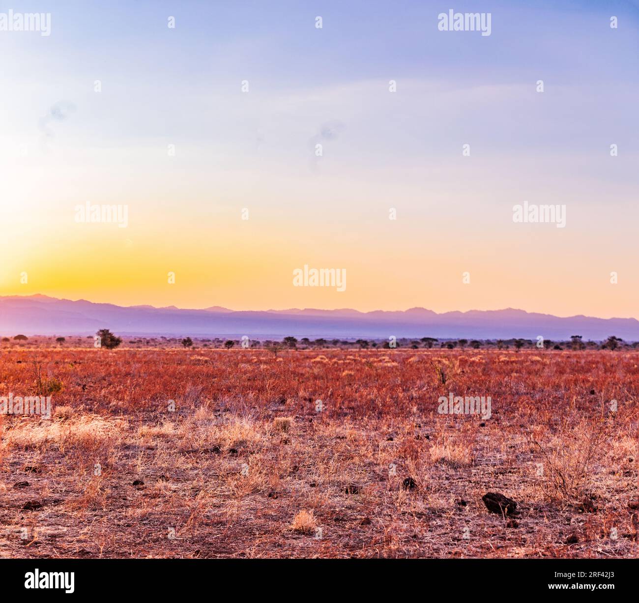 Meru National Park is a Kenyan national park located east of Meru, 350 ...