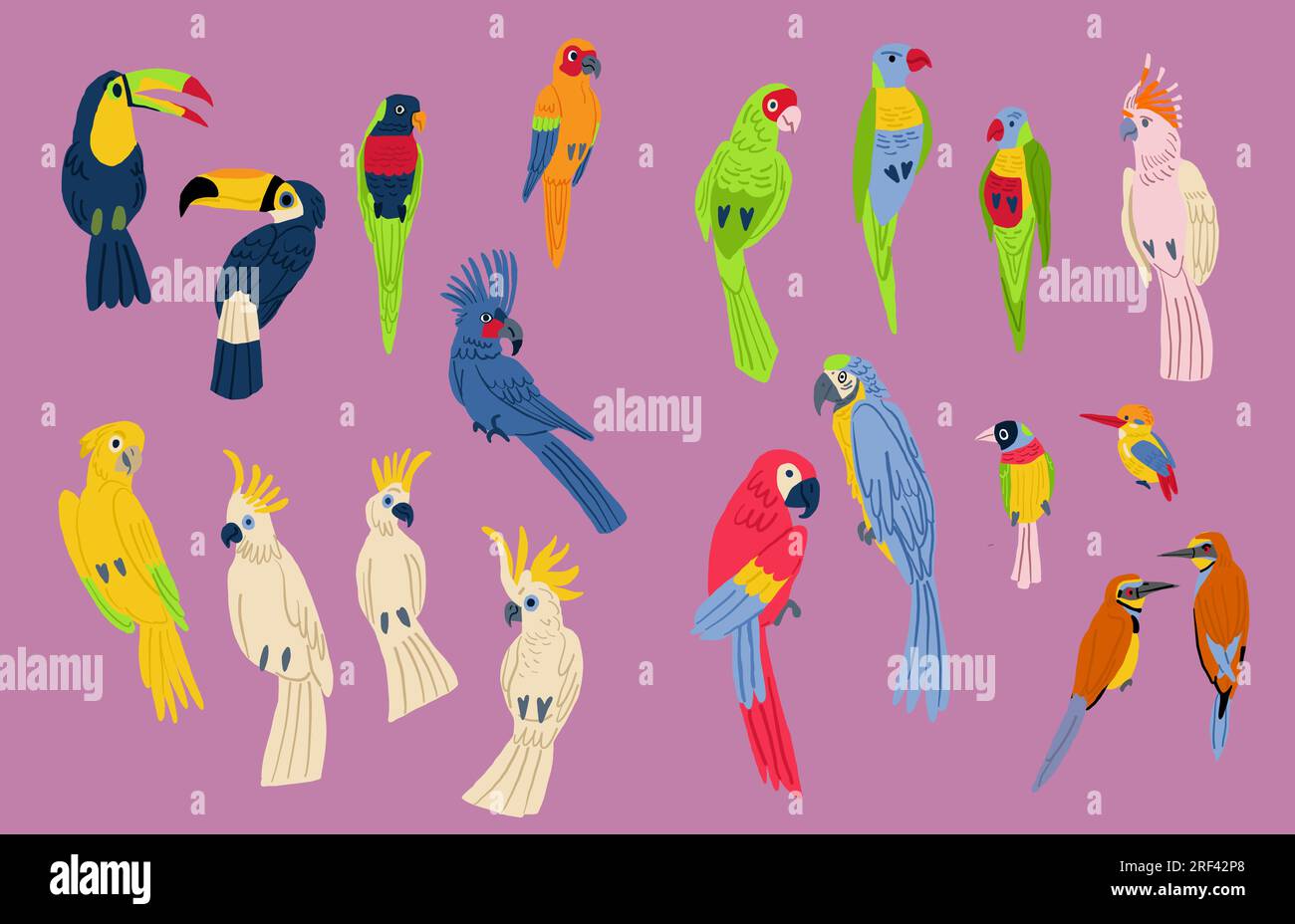 Flat design vector birds icon set. Popular birding species collection ...
