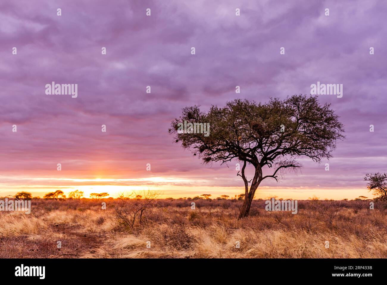 Meru National Park is a Kenyan national park located east of Meru, 350 ...