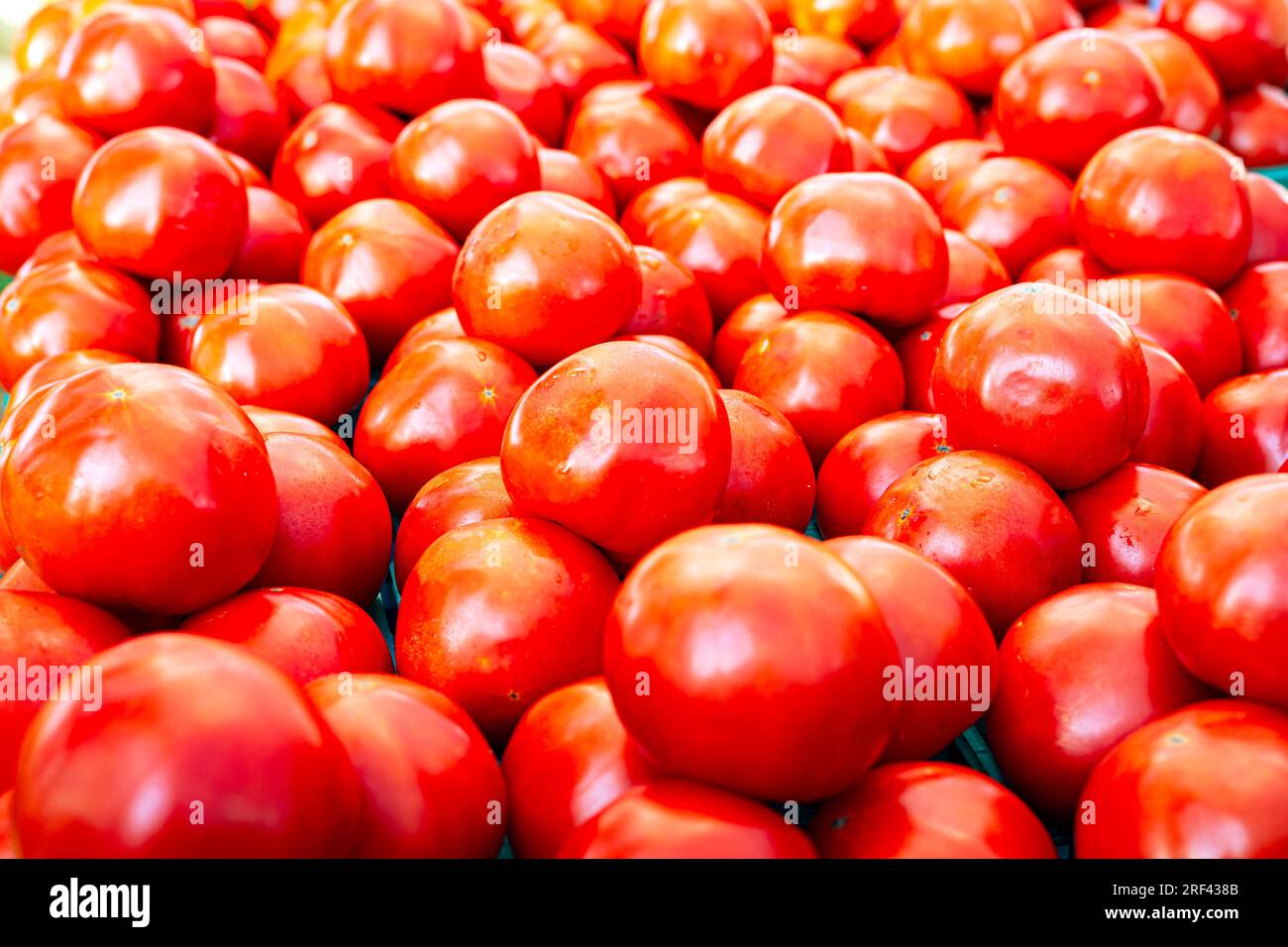Food background of red, ripe tomatoes on display at a farmers market in ...