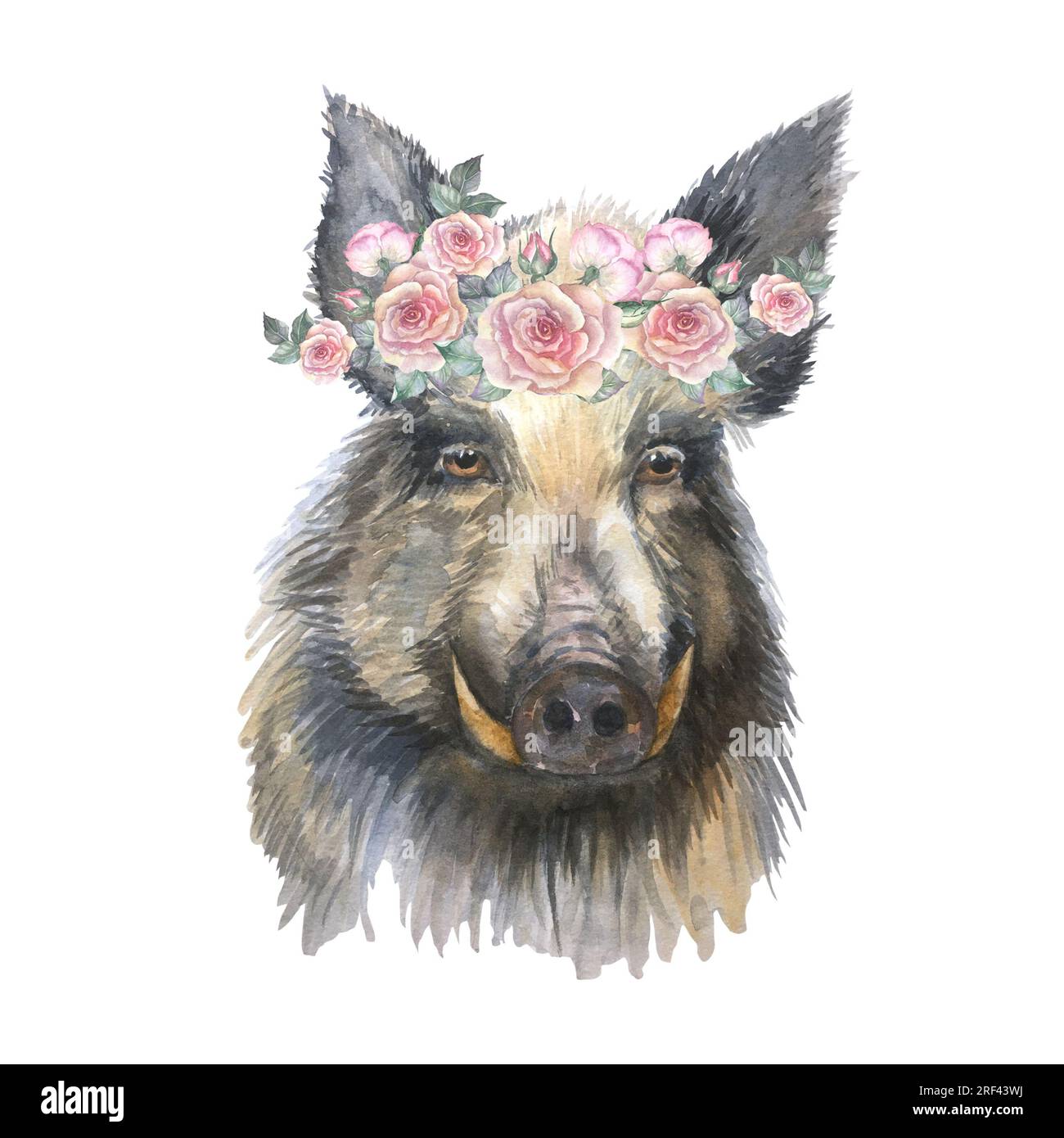 Watercolor cute animals Cut Out Stock Images & Pictures - Alamy