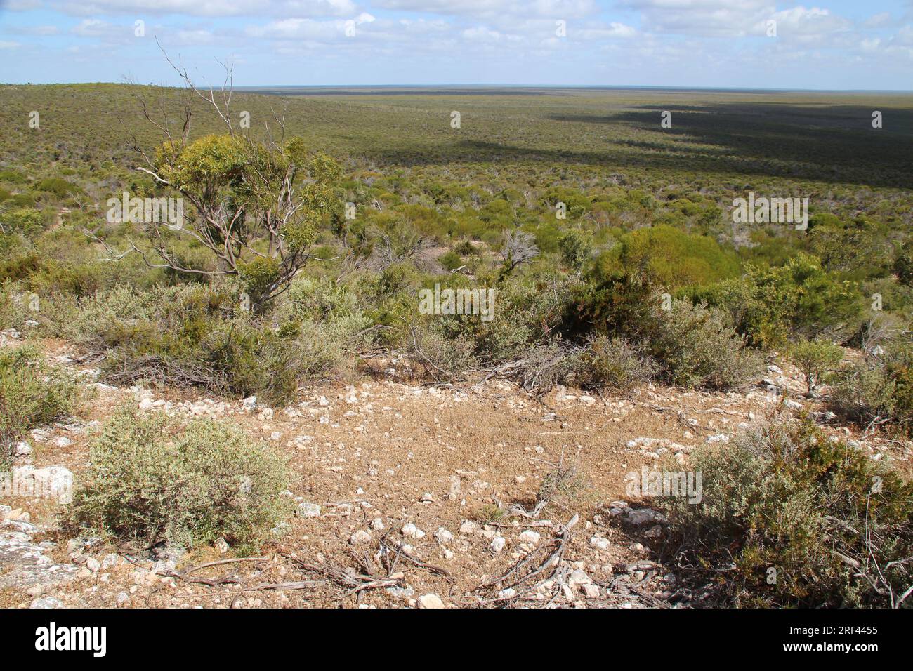 landscape in kalbarri (australia Stock Photo - Alamy