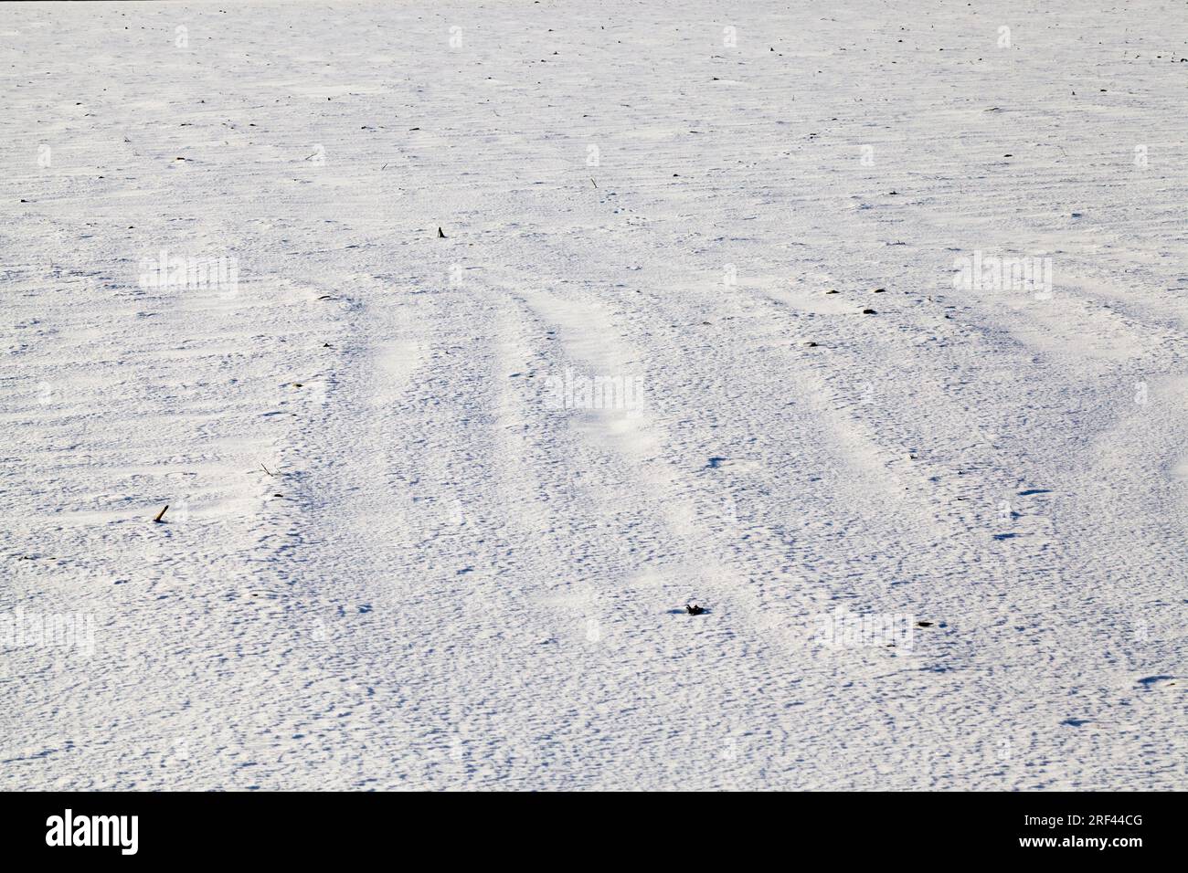 large snow drifts after a large number of cyclones with snowfall, snow ...