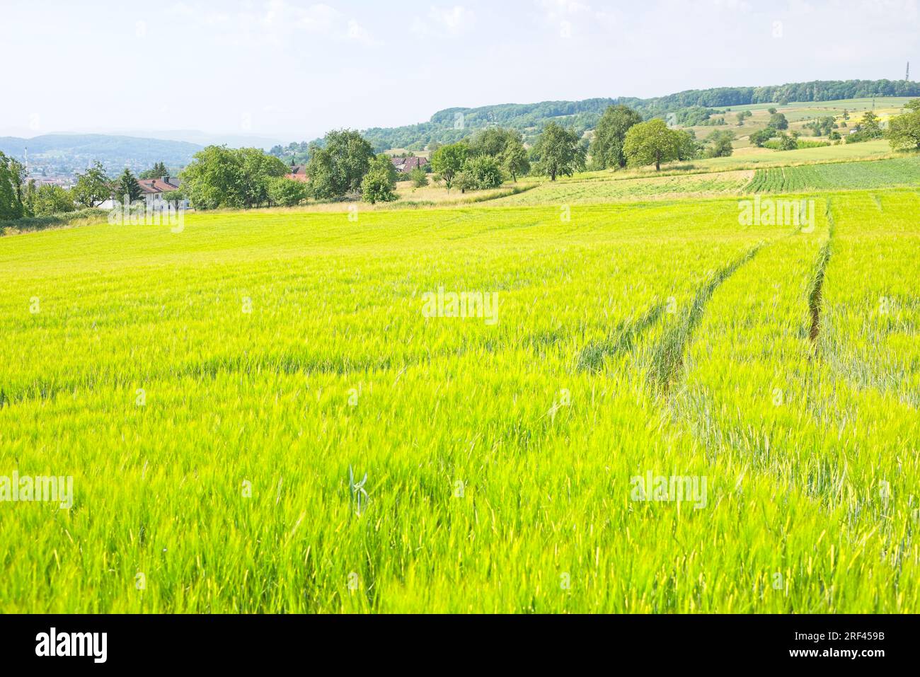 green nature landscapes in southern germany in summer time Stock Photo ...