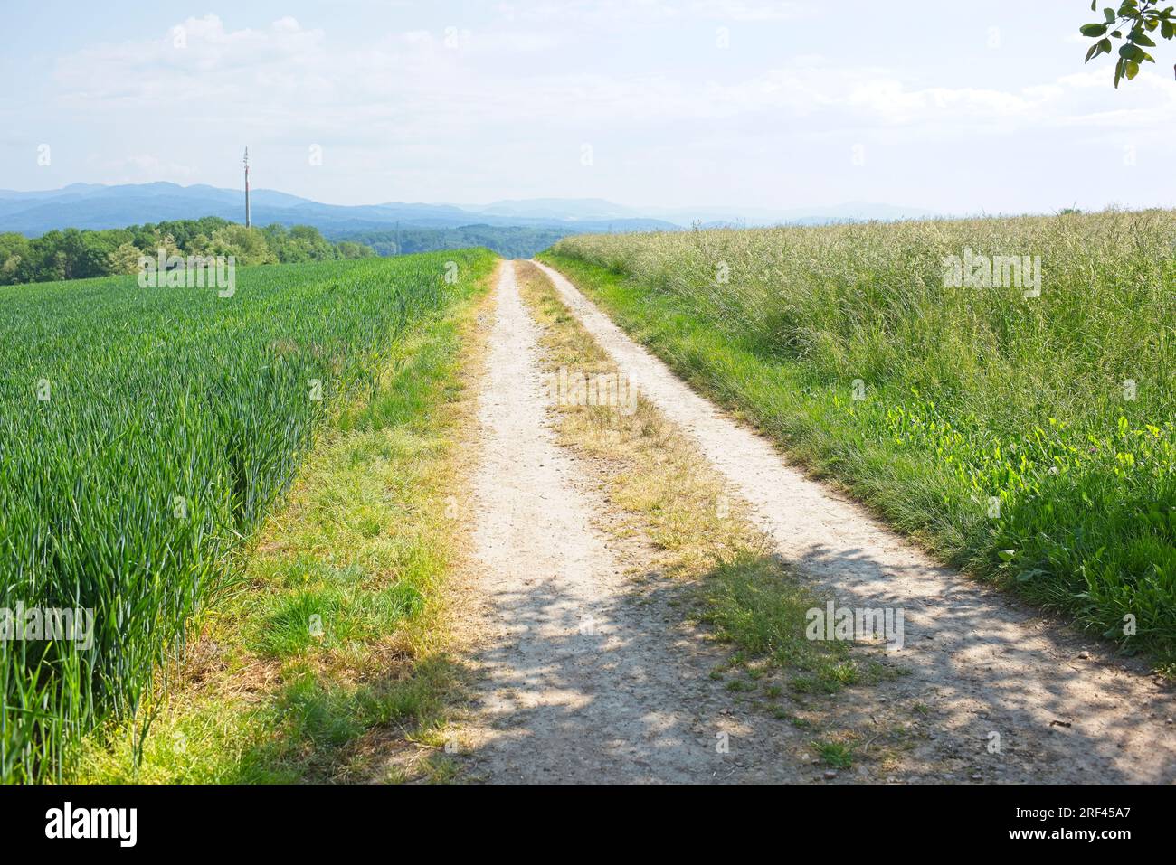 green nature landscapes in southern germany in summer time Stock Photo ...