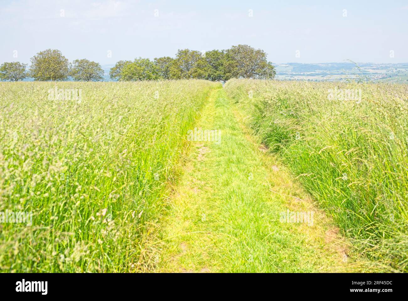 green nature landscapes in southern germany in summer time Stock Photo ...