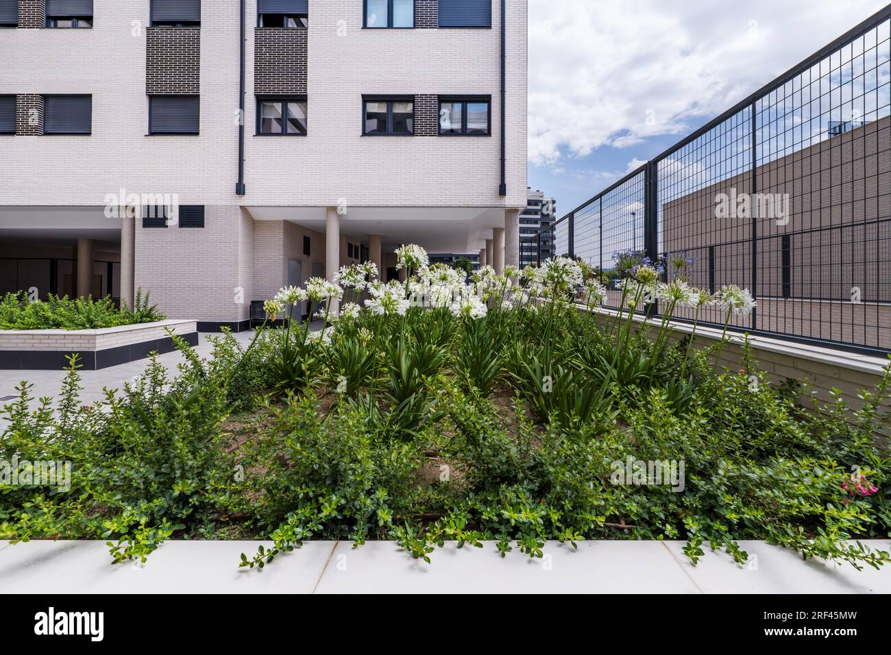 Plants with white flowers in a pot in the common areas of a residential ...