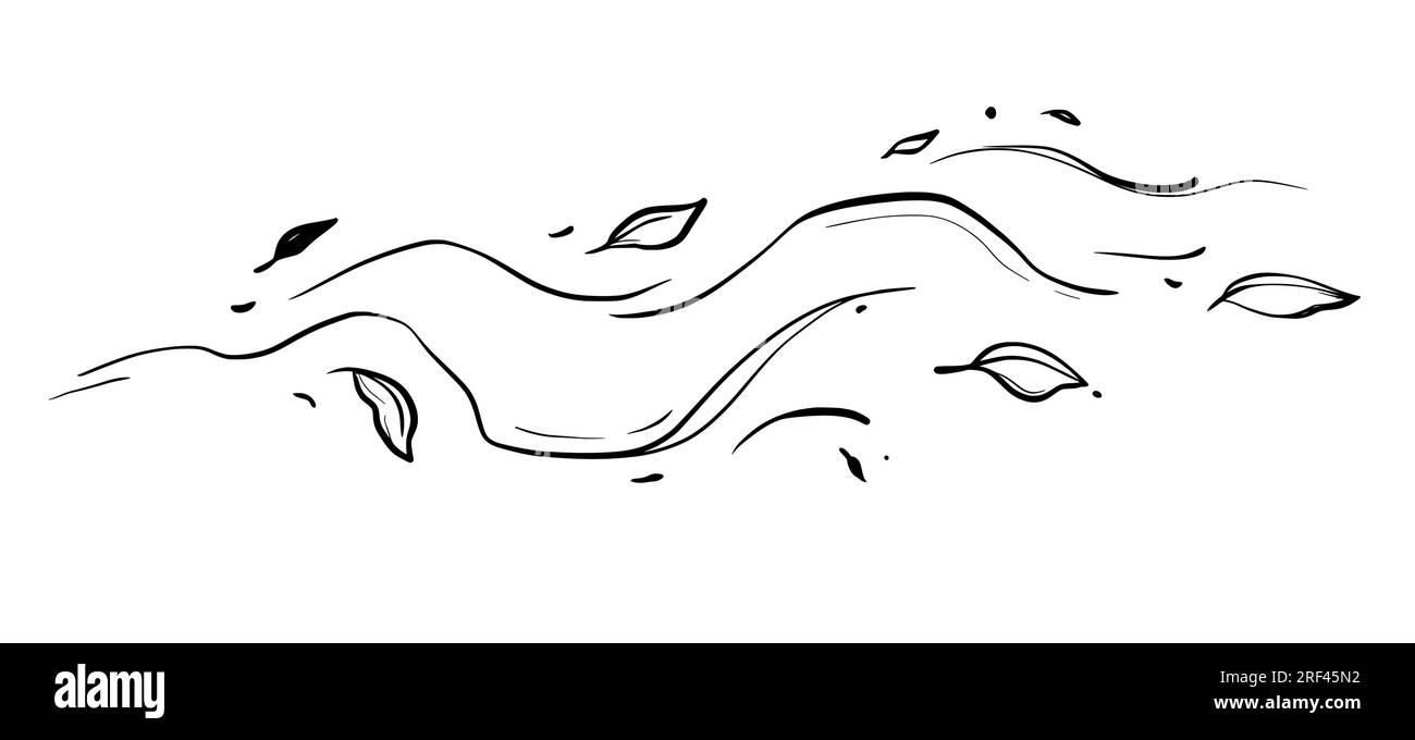 Leaves Blowing In Wind Drawing