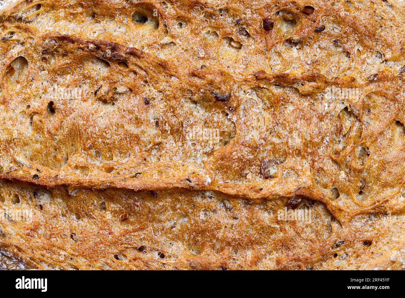 a whole loaf of bread with a crisp crust and flavor, a whole fresh soft ...