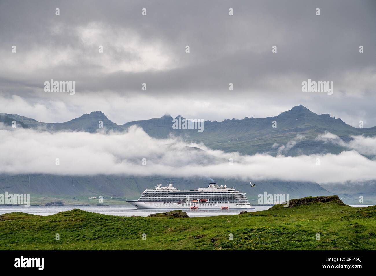 Viking Star anchored off Djupivogur, Iceland Stock Photo - Alamy