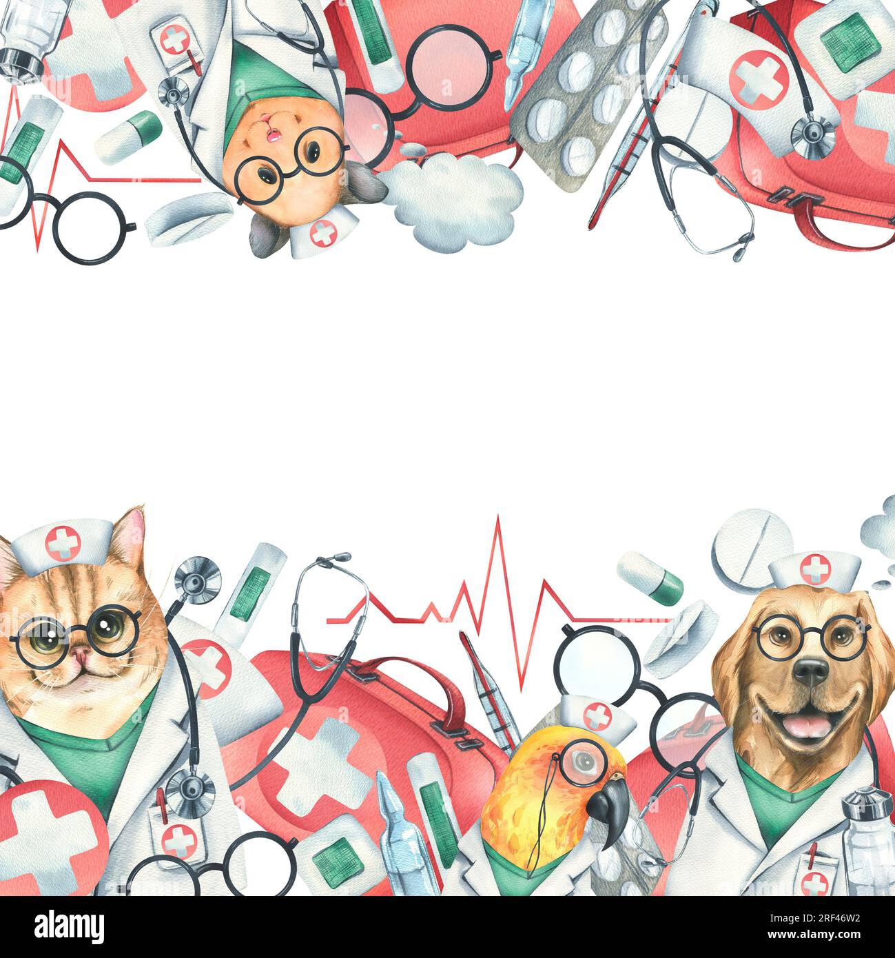 Dog, cat, hamster, parrot doctors in a dressing gown, glasses, with a ...