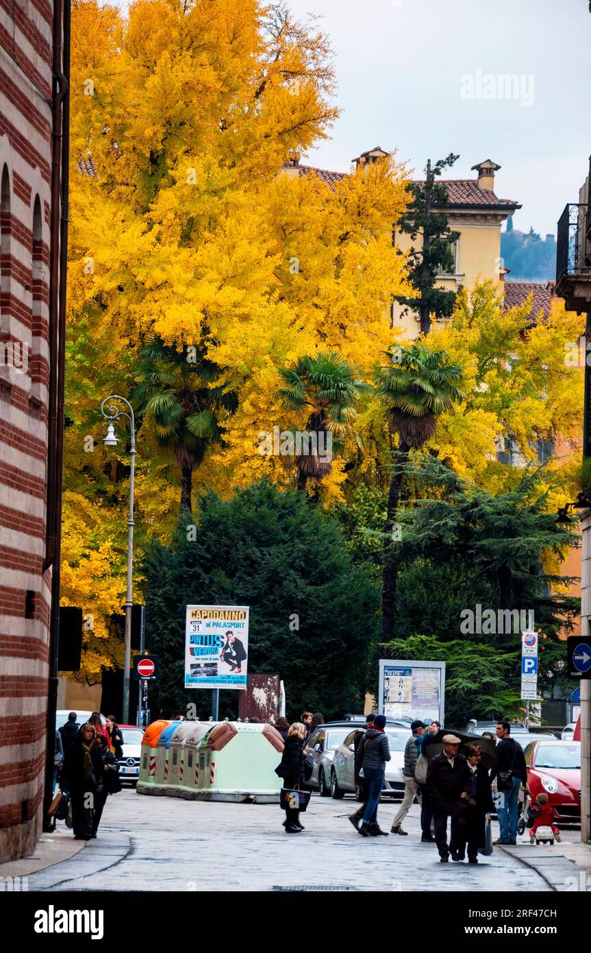Polychrome brickwork hi-res stock photography and images - Alamy