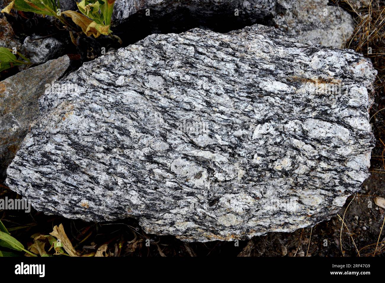 Gneiss is a metamorphic rock. This photo was taken in Zamora, Castilla ...