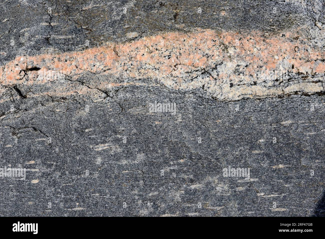 Gneiss and pegmatite. Gneiss (dark) is a metamorphic rock and pegmatite ...