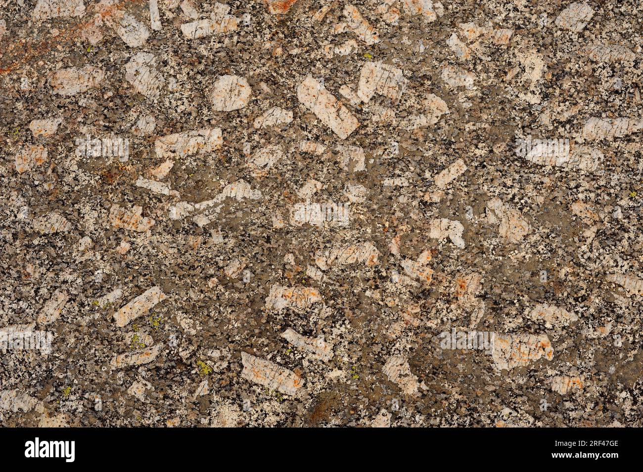 Granitoid detail from Gredos. Granitoid is an intrusive or plutonic ...