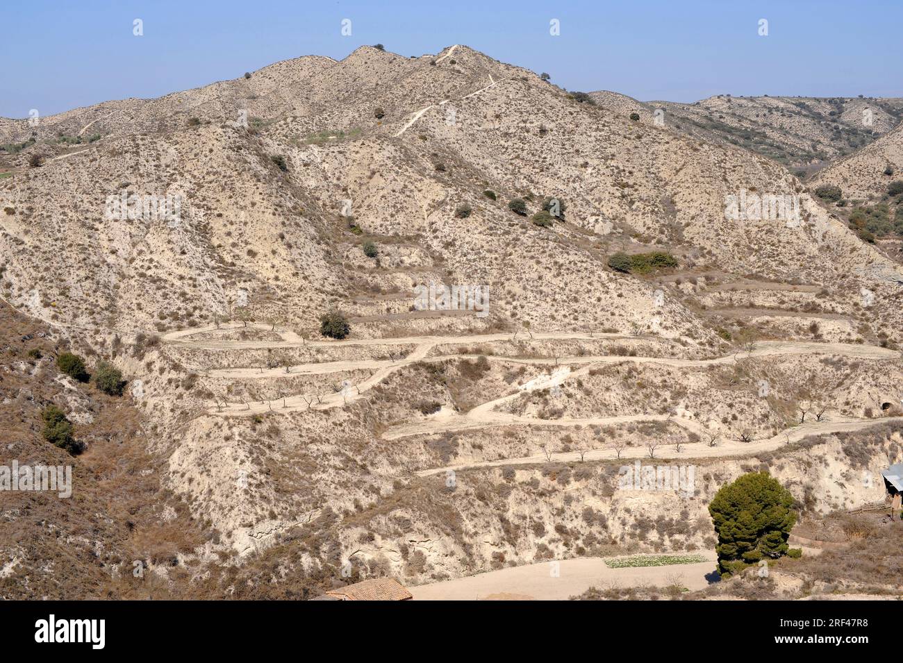 Marl or marlstone rich in gypsum. Marl is a sedimentary rock composed ...