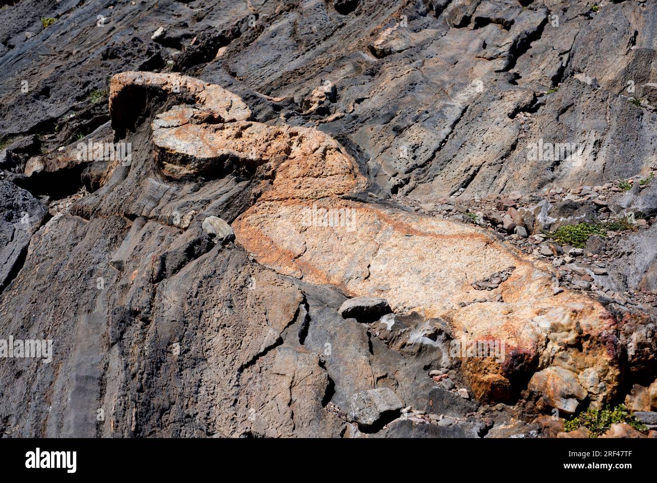 Contact between pegmatite dike and schist. Pegmatite is an igneous ...