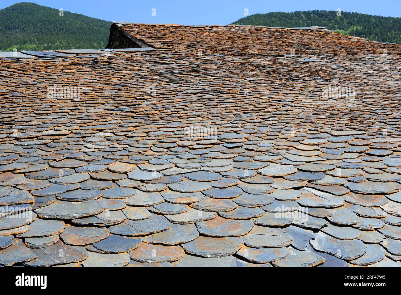 Roof shale. Shale is a fissile compacted sedimentary rock. This photo ...