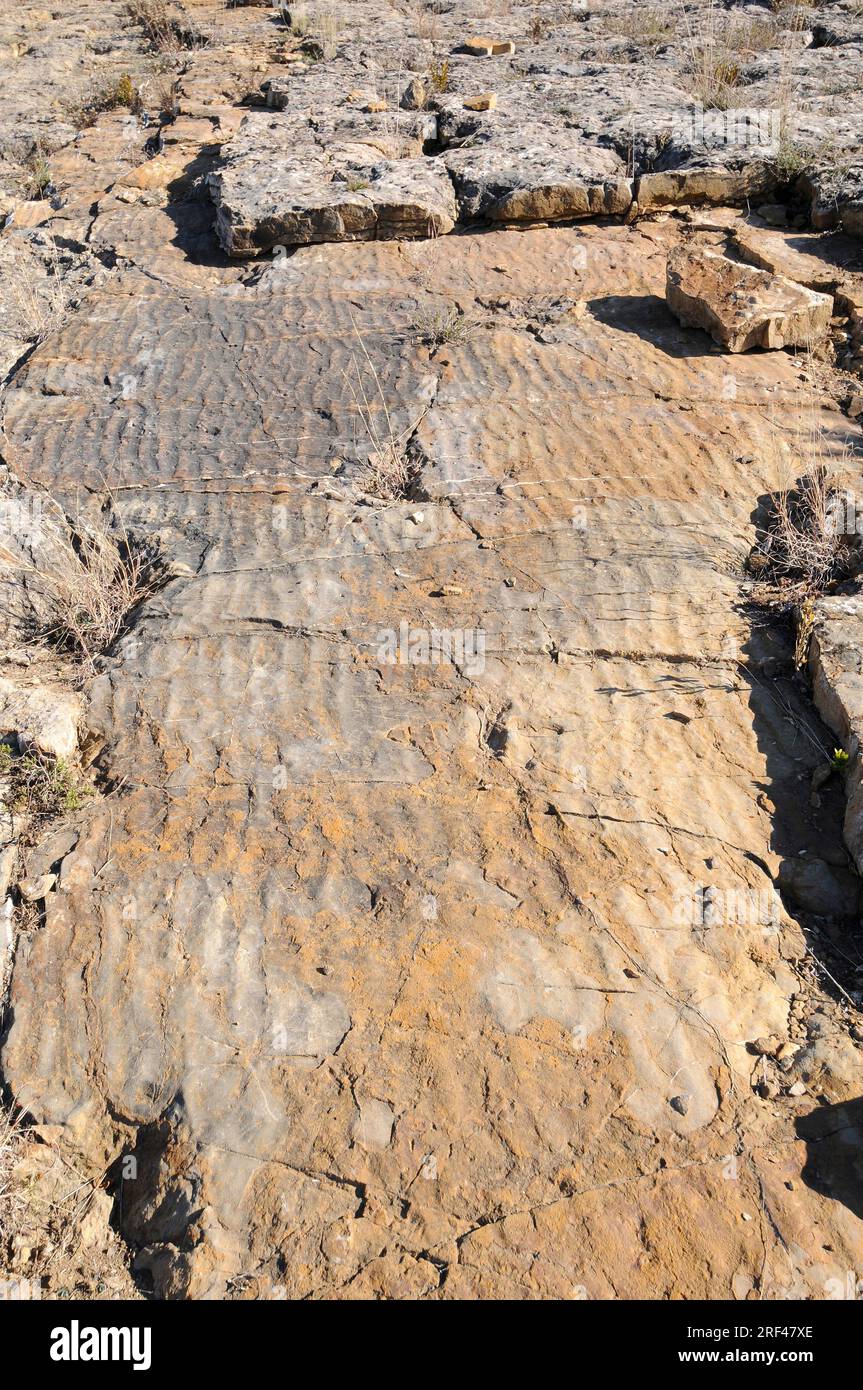 Sedimentary structures hi-res stock photography and images - Alamy