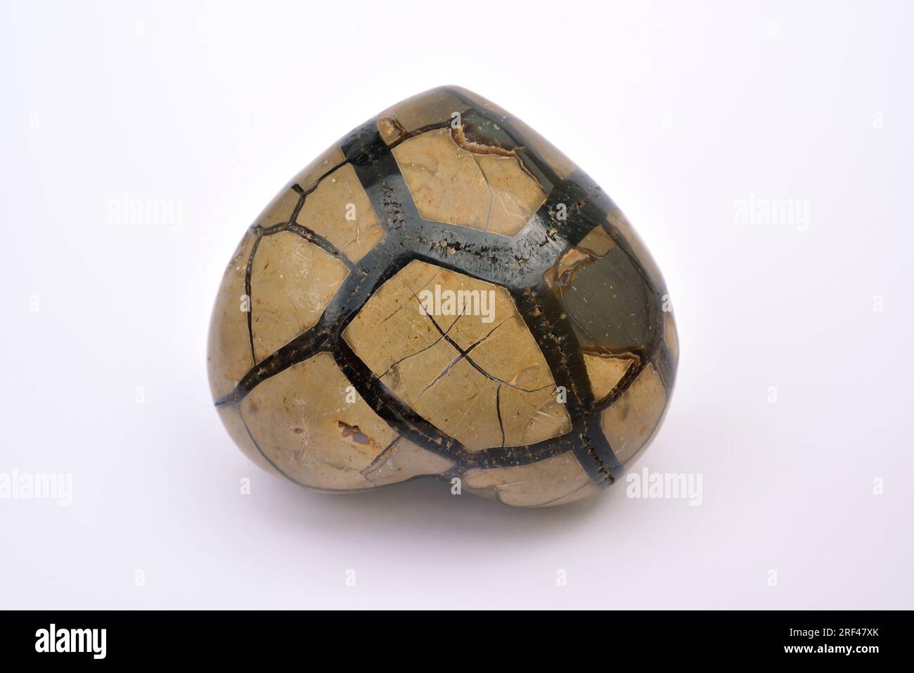 Septaria or septarian concretion is a mineral precipitation (calcite ...